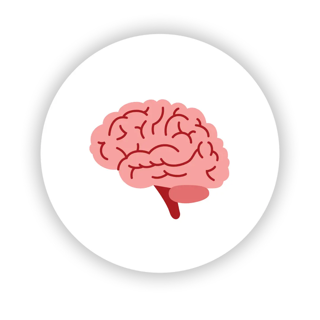 Brain SMART™ Programme - Little Green House